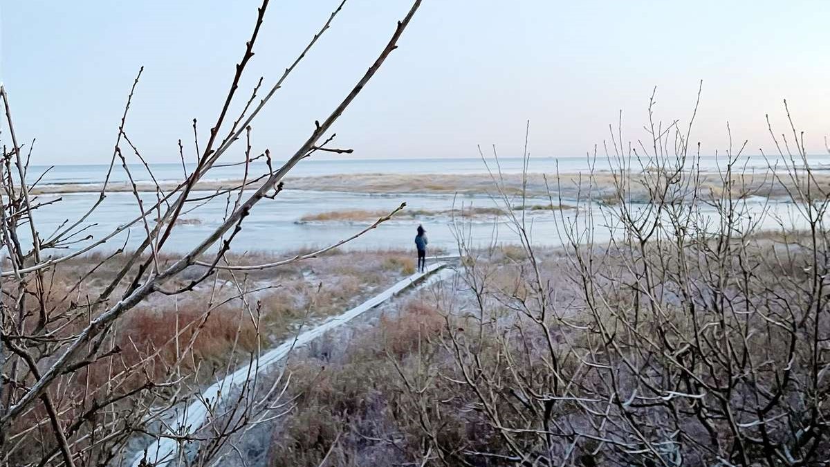 Det sker i februar | Enjoy Nordjylland