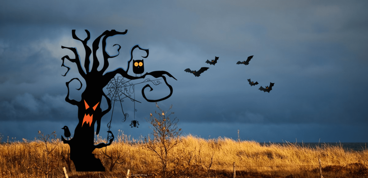 Halloween i Nordjylland | Enjoy Nordjylland